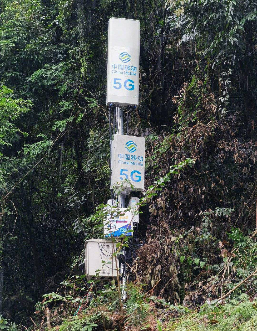 700M+2.6G - 运营商·运营人 - 通信人家园 - Powered by C114